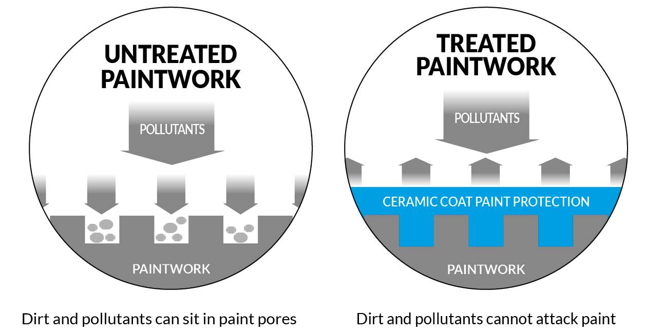 Paint Protection for your Car | Noya Motor Group